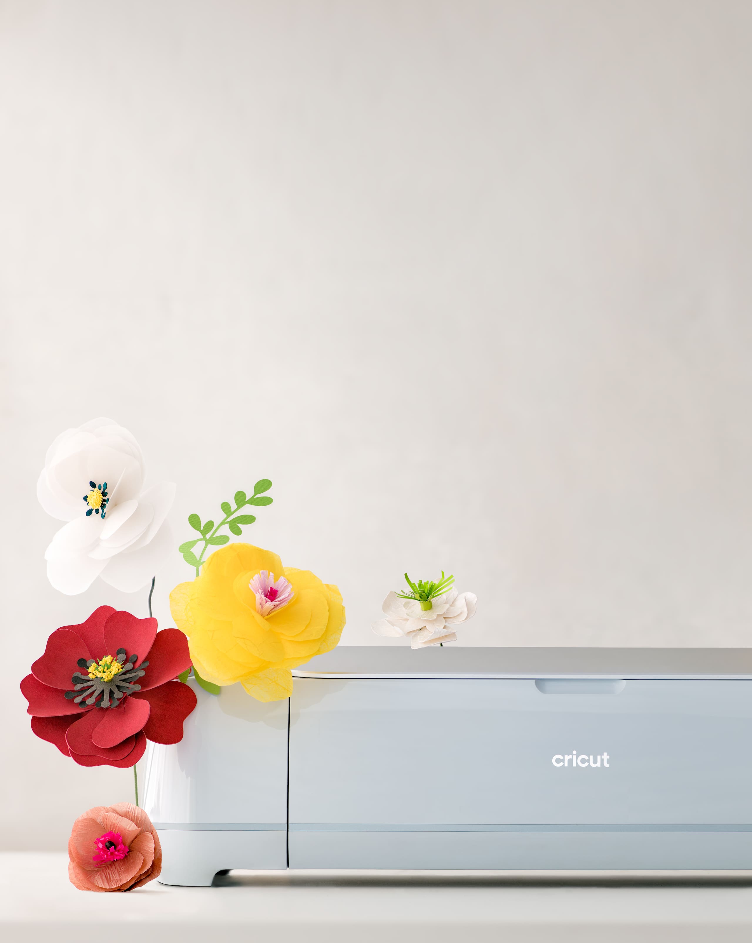 Cricut Brand Showcase | Costco