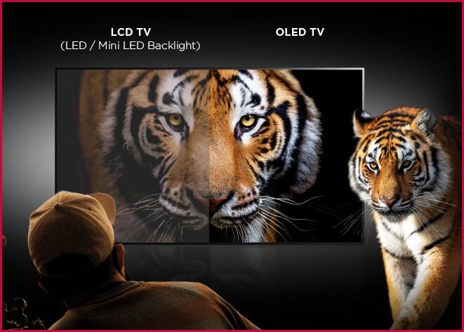 OLED TV Info | Costco