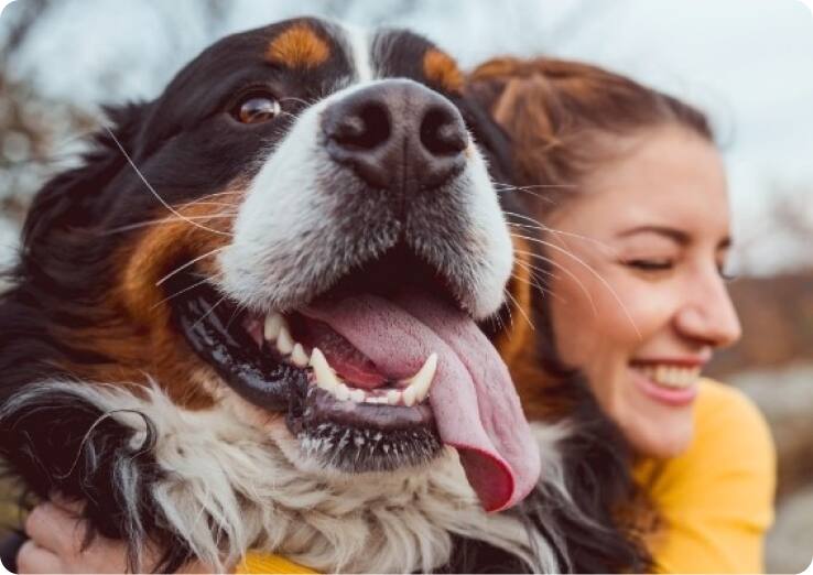 Elanco Interceptor Plus Information | Costco