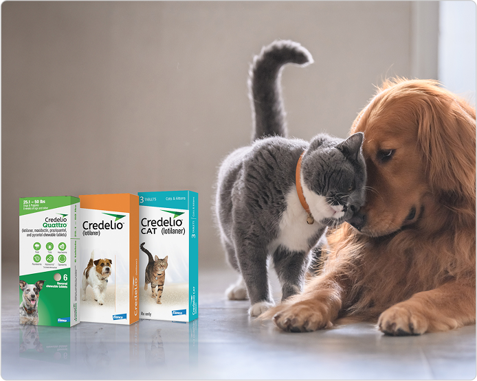 Elanco Credelio Information | Costco