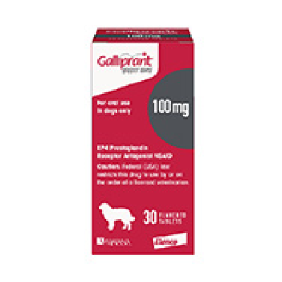 Elanco Galliprant Information | Costco