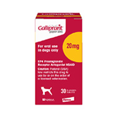 Elanco Galliprant Information | Costco