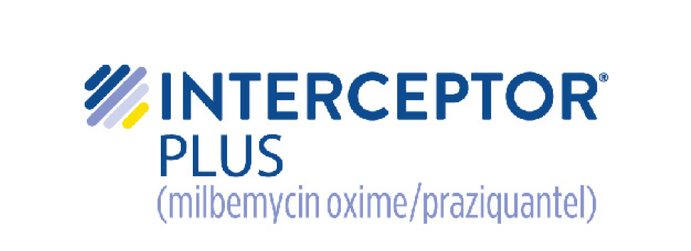 Elanco Galliprant Information | Costco