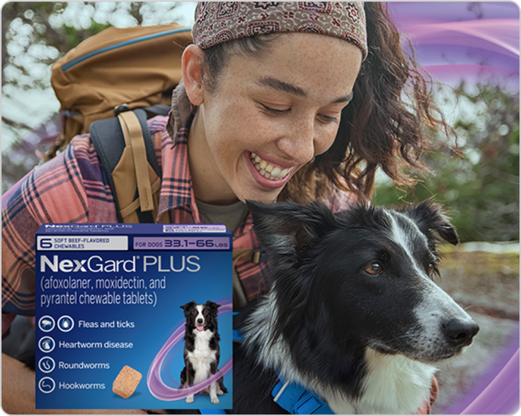 Nexgard Plus Information | Costco