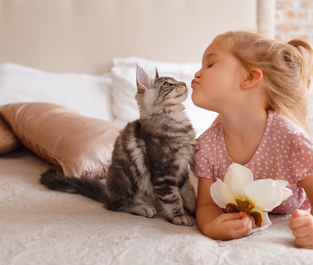 Pet Pharmacy & Medications | Costco