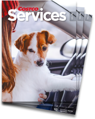 Auto & Home Insurance | Costco