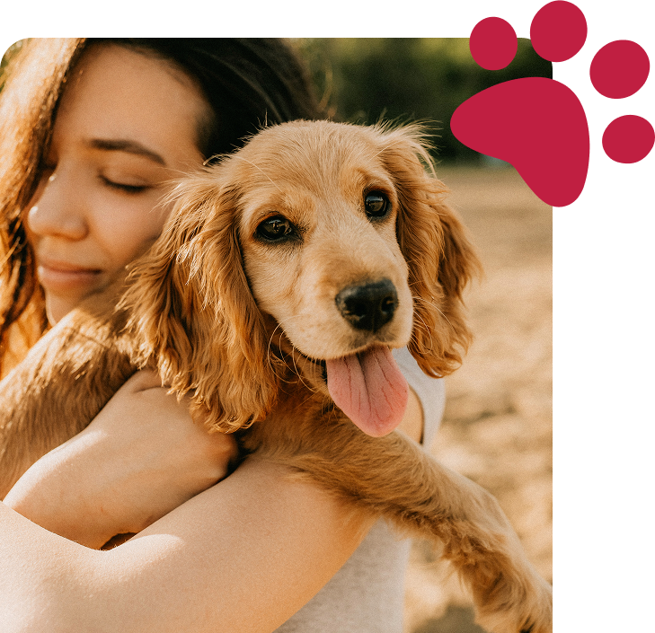 Pet Insurance | Costco