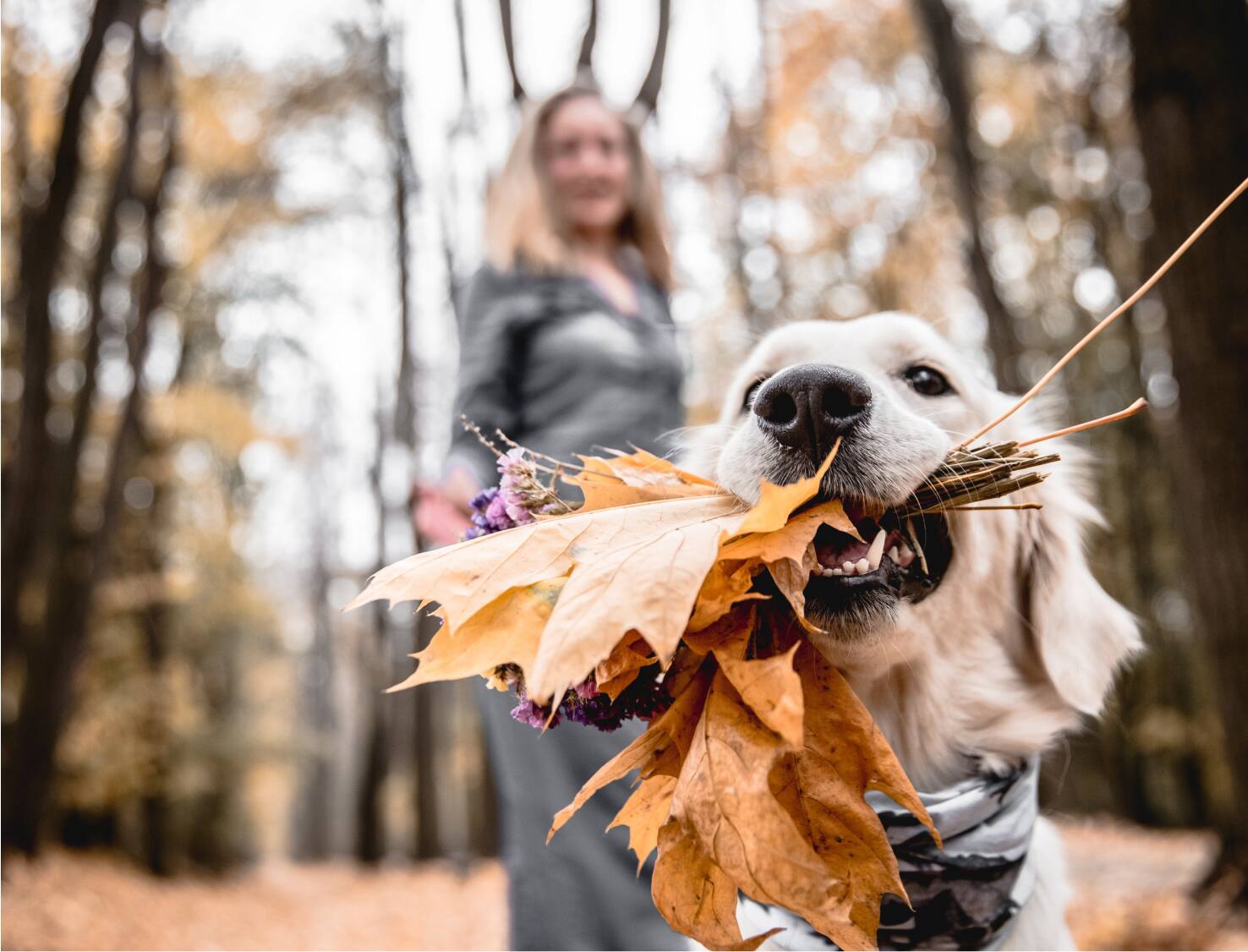 Costco Services for Members