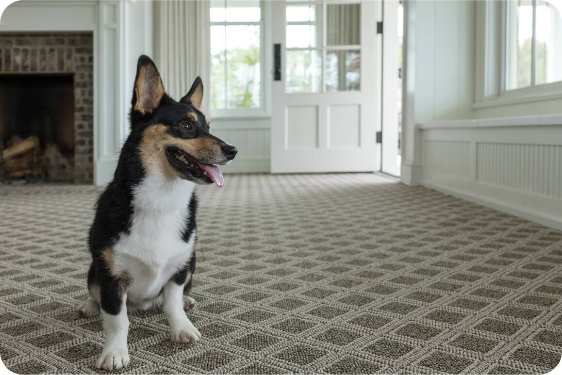 Shaw Custom Flooring | Costco